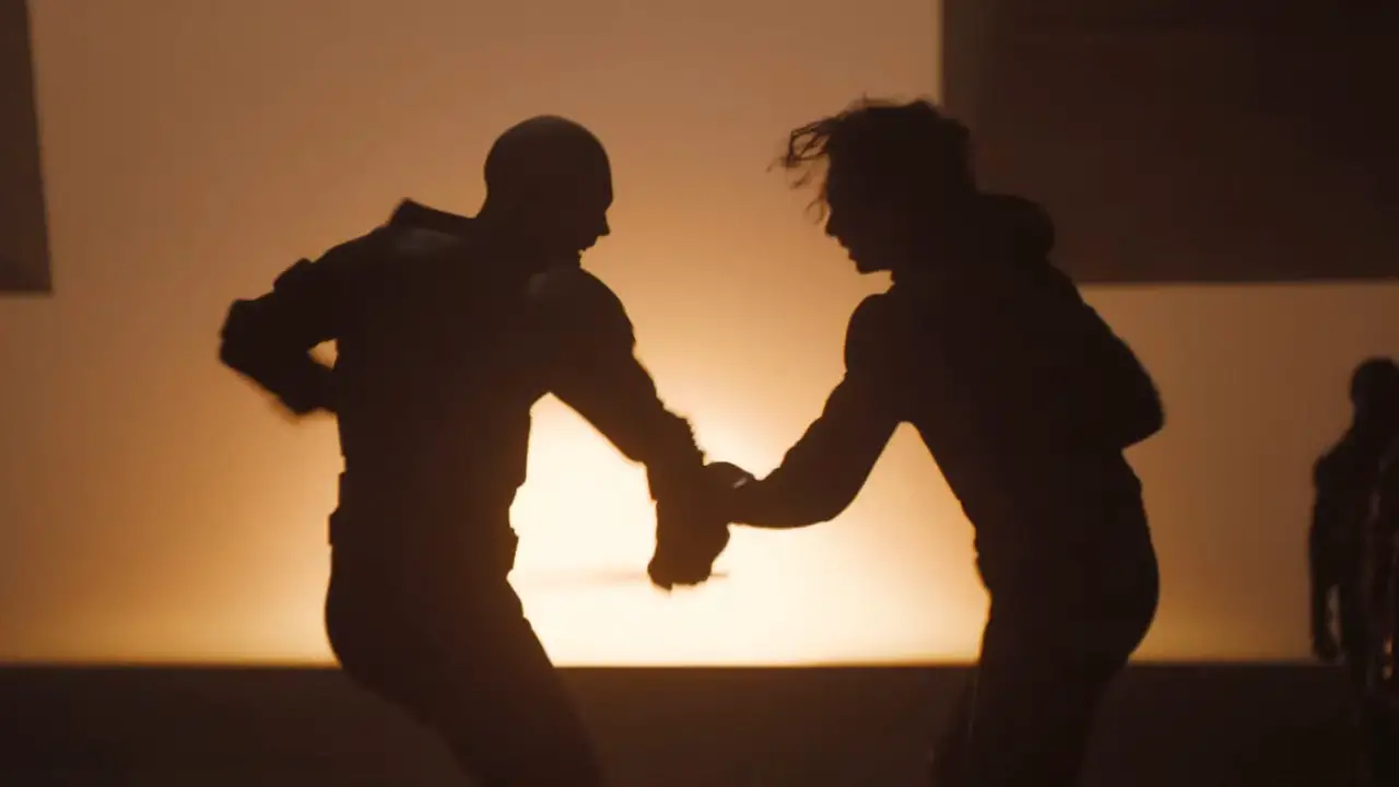 New ‘Dune: Part Two’ Promos Tease Paul-Feyd Fight - Dune News Net